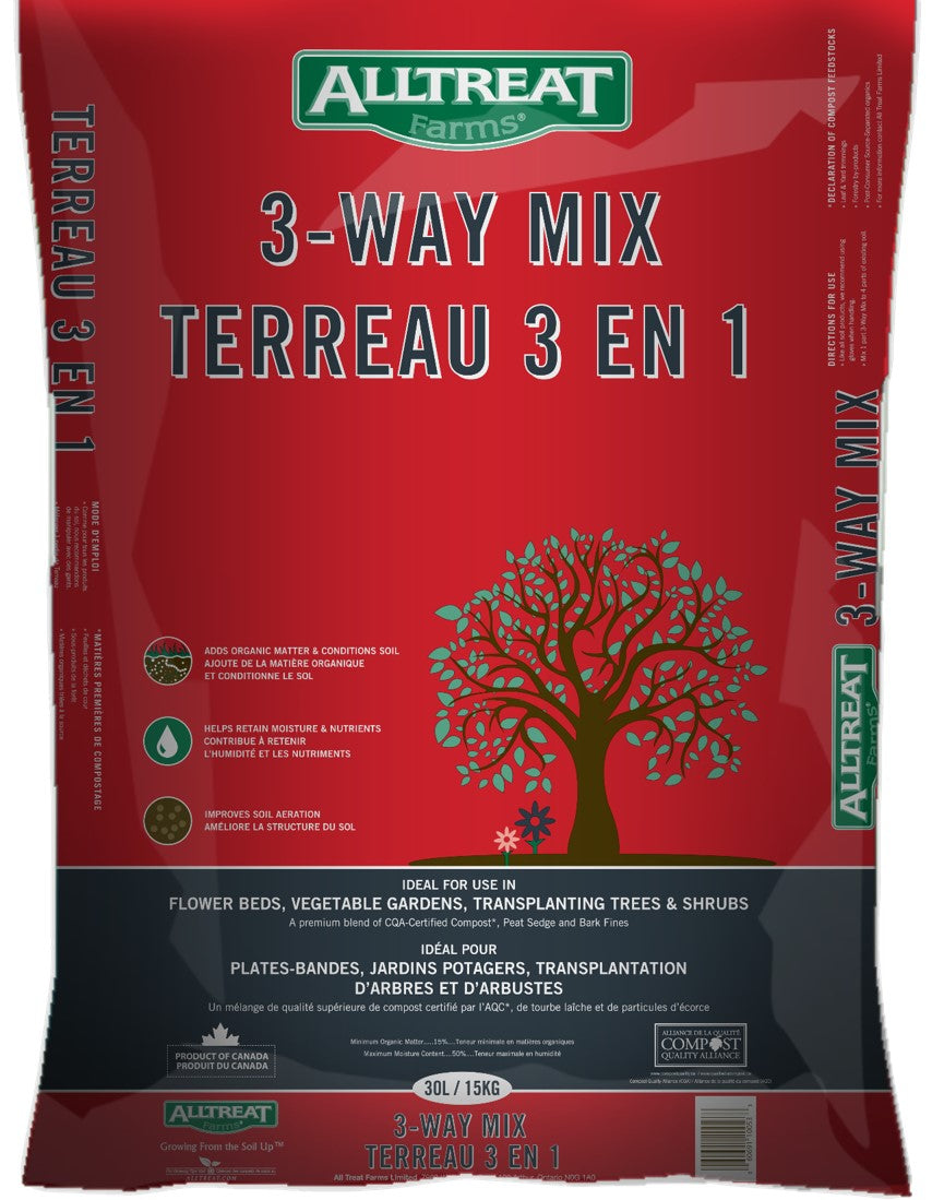 Brandon Pyramidal Cedar – GardenTap